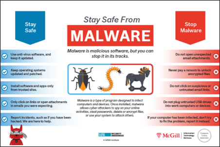 - Stay Safe Online - IT Portal